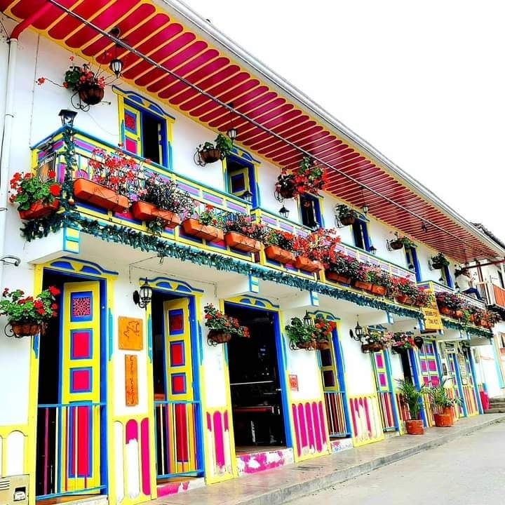 Salento y Reserva Natural Santa Rita | Turismo Carlos H