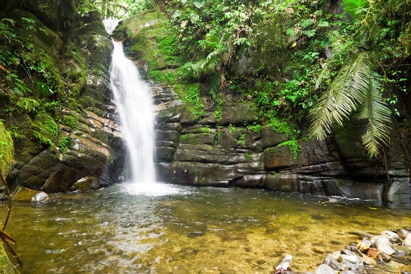 Salento y Reserva Natural Santa Rita | Turismo Carlos H