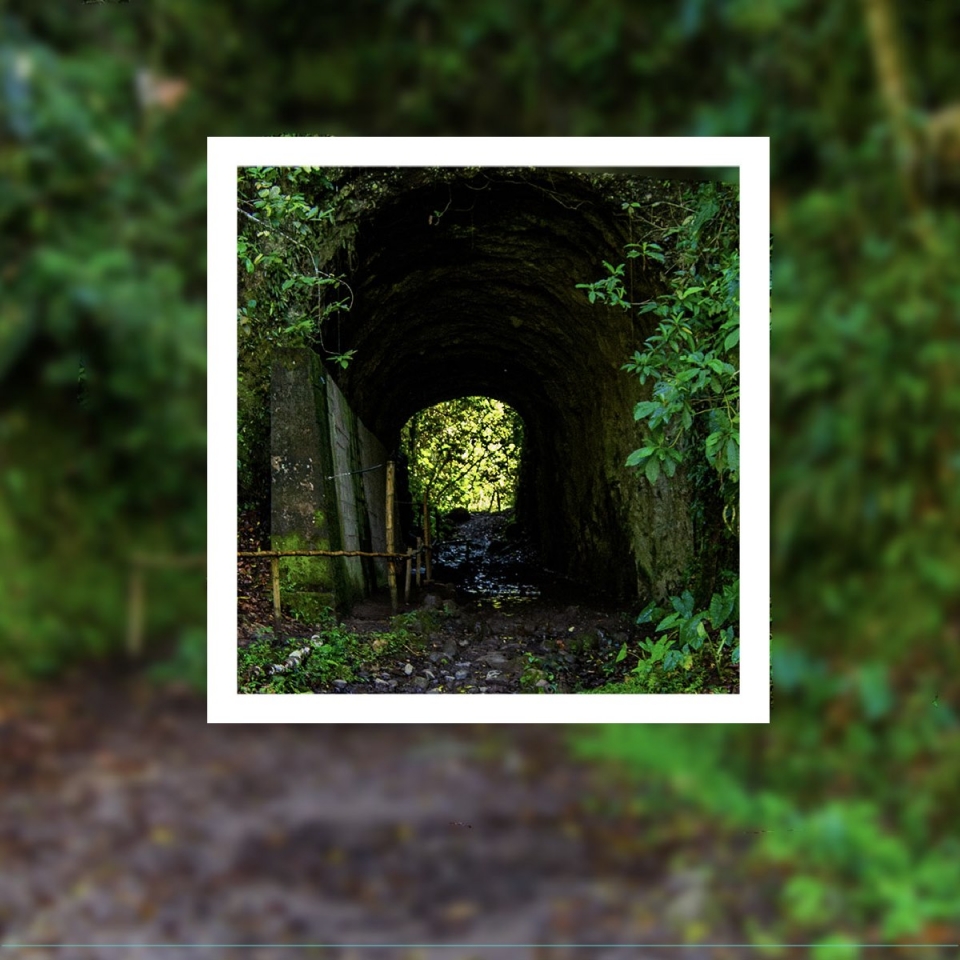 Salento y Reserva Natural Santa Rita | Turismo Carlos H